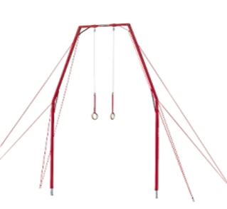 The consequences of the VAN GELDER-decision on football | Holla